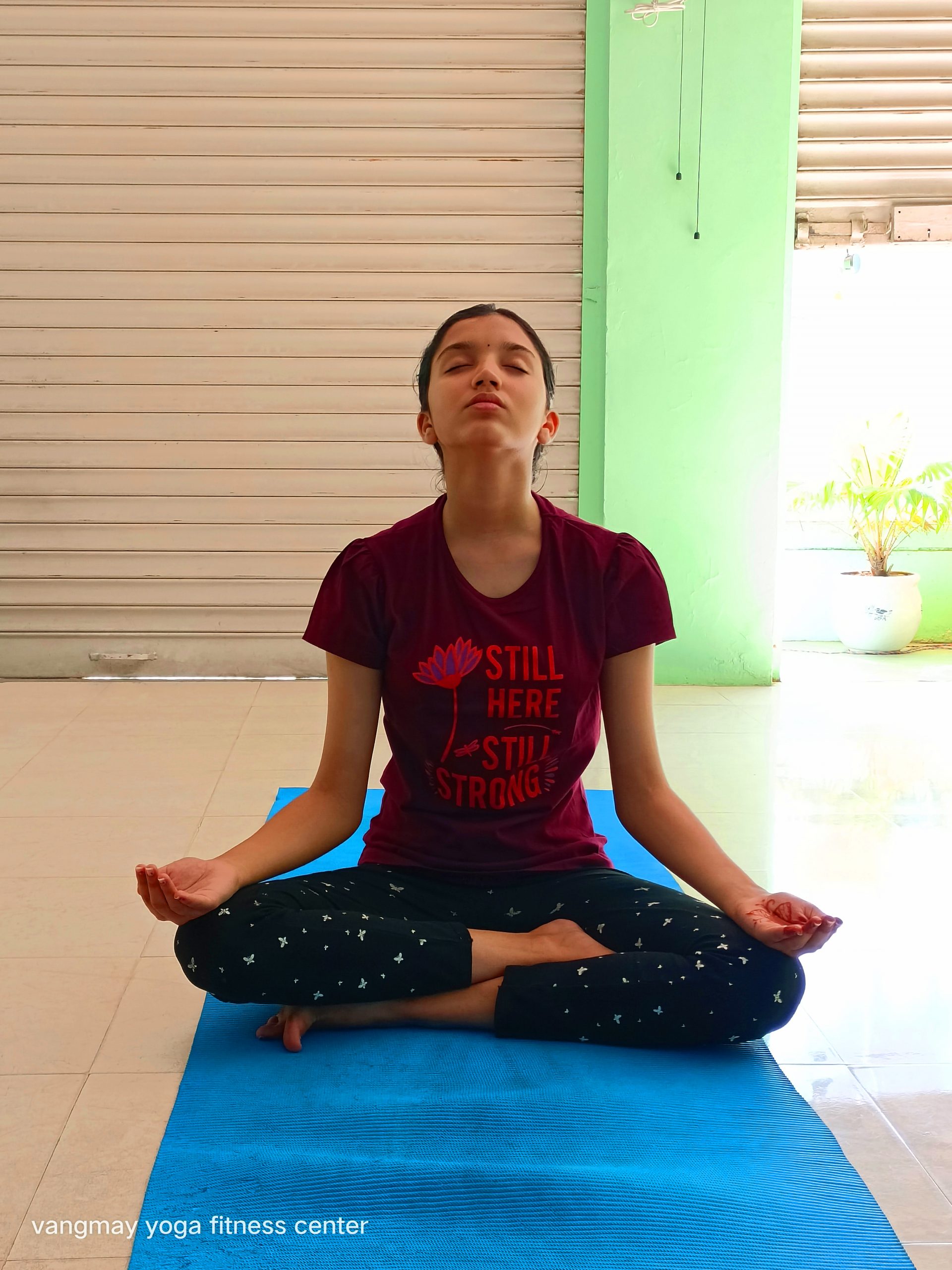 Positive and Negative Stress – vangmyyoga